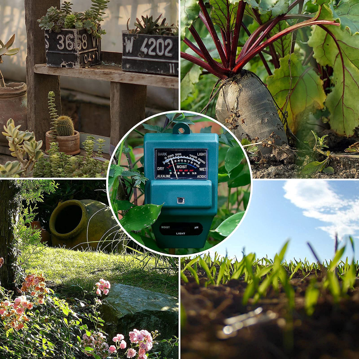 MEASUREMAN 3-in-1 Moisture/Light/pH Soil Tester, Gardening Tool Kits f ...